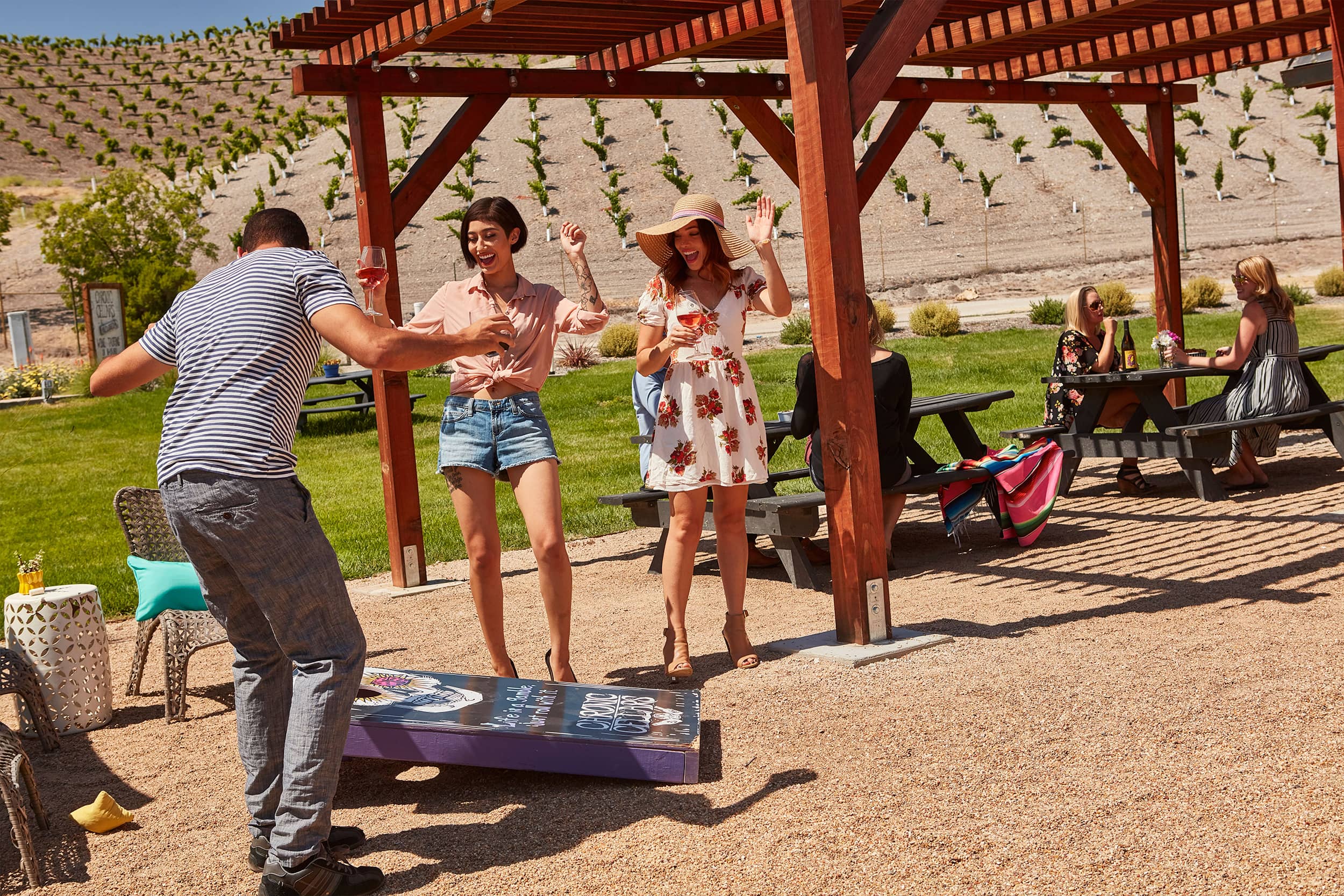 Chronic Cellars - Wine Club